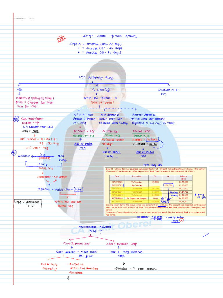 Bank Audit (NPA-1) | PDF