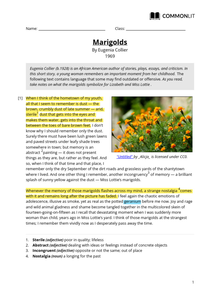 Week 1 Marigolds | PDF | Anger