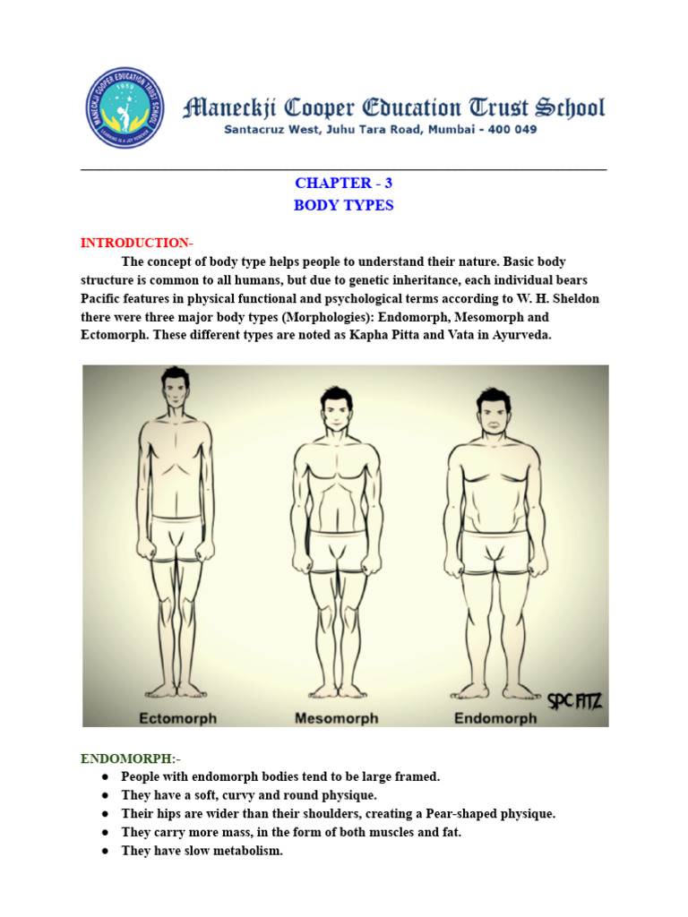 chap 3 body types | PDF | Adipose Tissue | Human Body