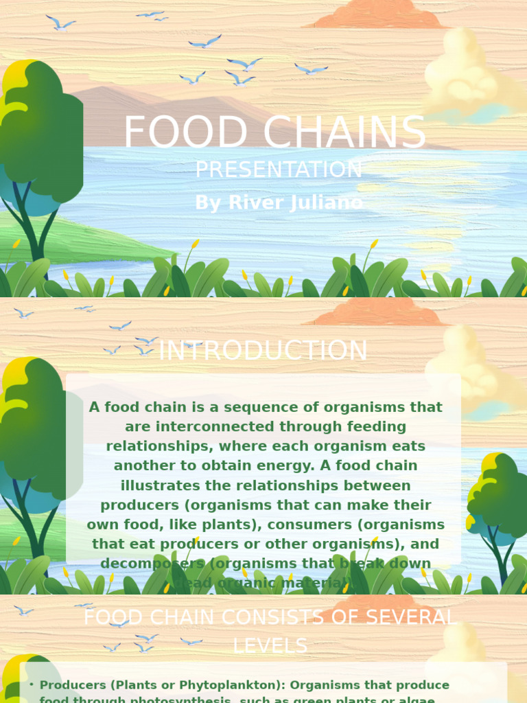 Food Chains | PDF
