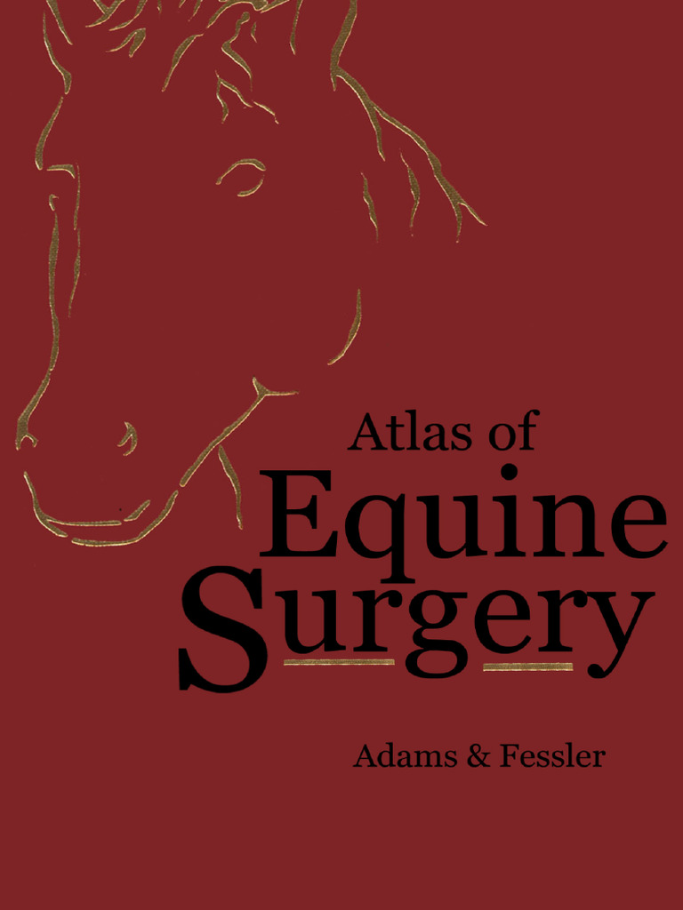 Atlas of Equine Surgery | PDF