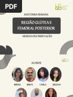 Músculo Piriforme Origem, Inserção, Inervação e Função Kenhub | PDF ...