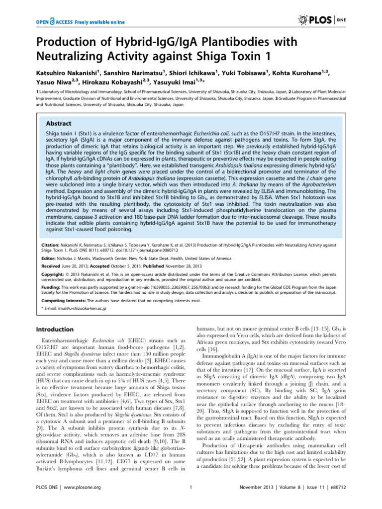 Production of Hybrid-IgG - IgA Plantibodies With | PDF | Antibody ...
