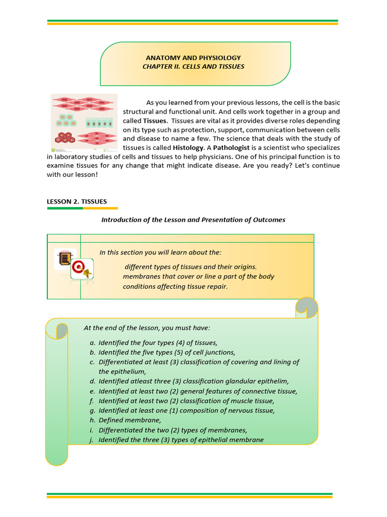 TISSUES Online Teaching - REVISED | PDF | Epithelium | Connective Tissue