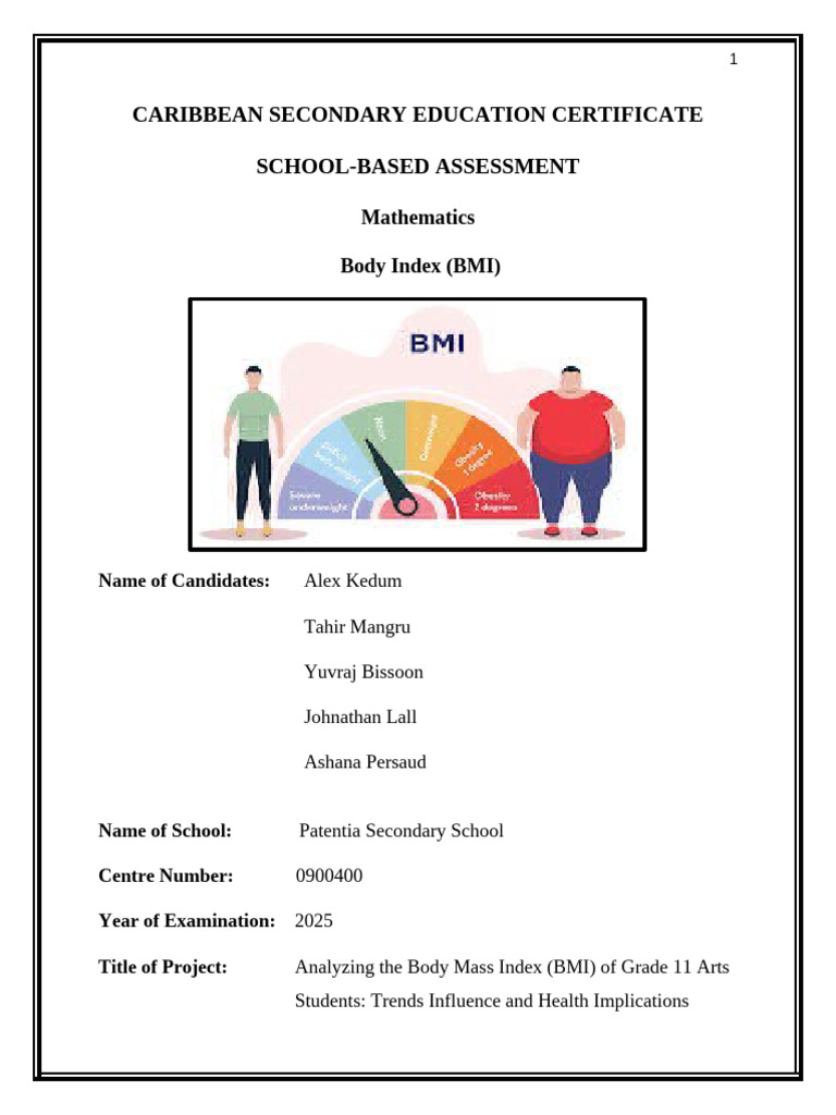 Group 1 Mathematics (Sba) Grade 11 Arts | PDF | Body Mass Index ...