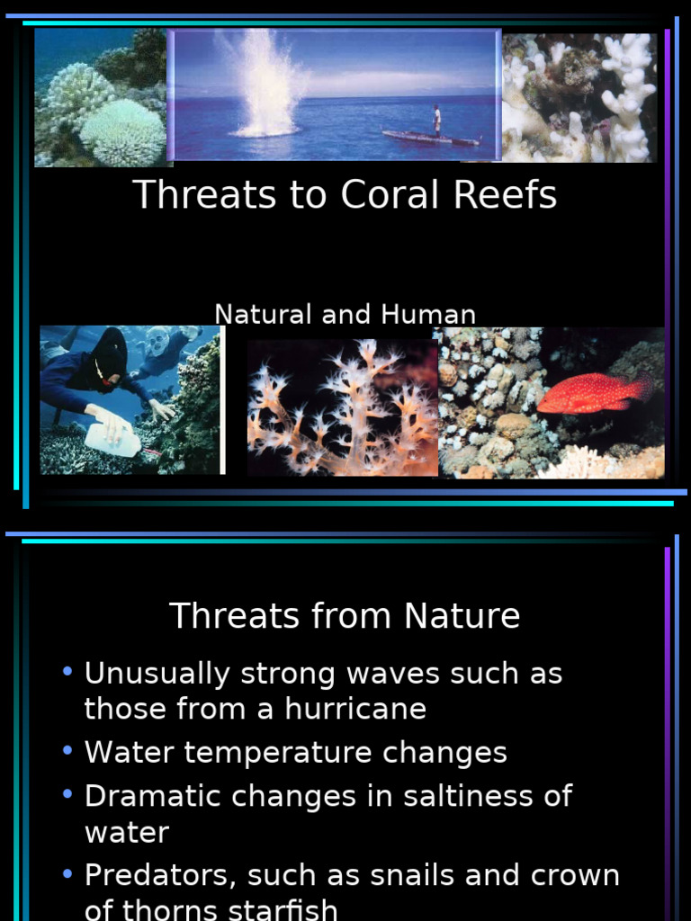 Sci 6 - Q2-Wk10 - Identify Threats - To - Coral - Reefs | PDF
