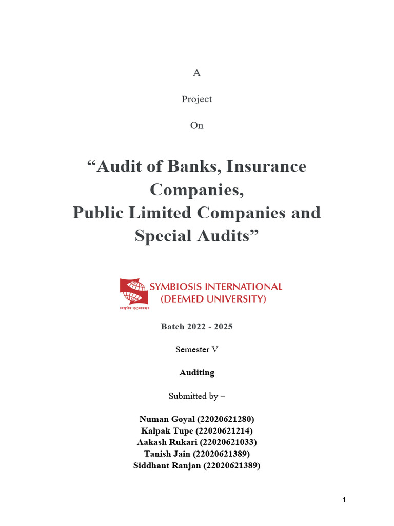 Auditing Project | PDF | Audit | Internal Audit