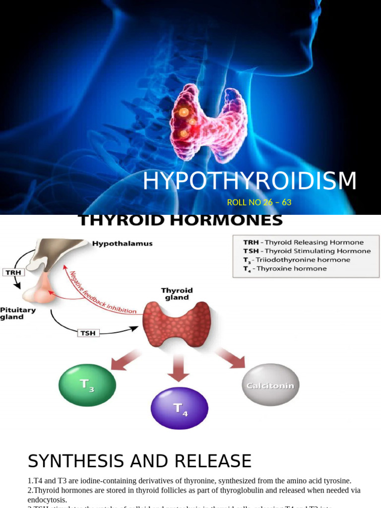 Hypo Thyroid is m | PDF | Thyroid | Hypothyroidism