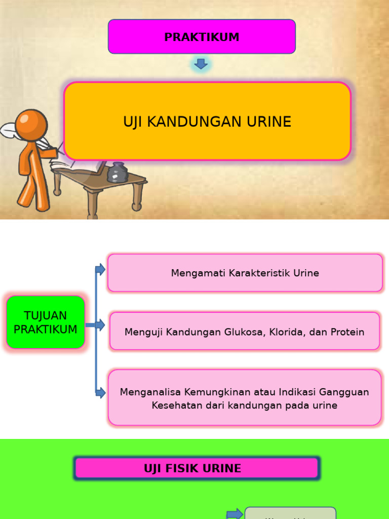 Praktikum Uji Urine - Benar | PDF