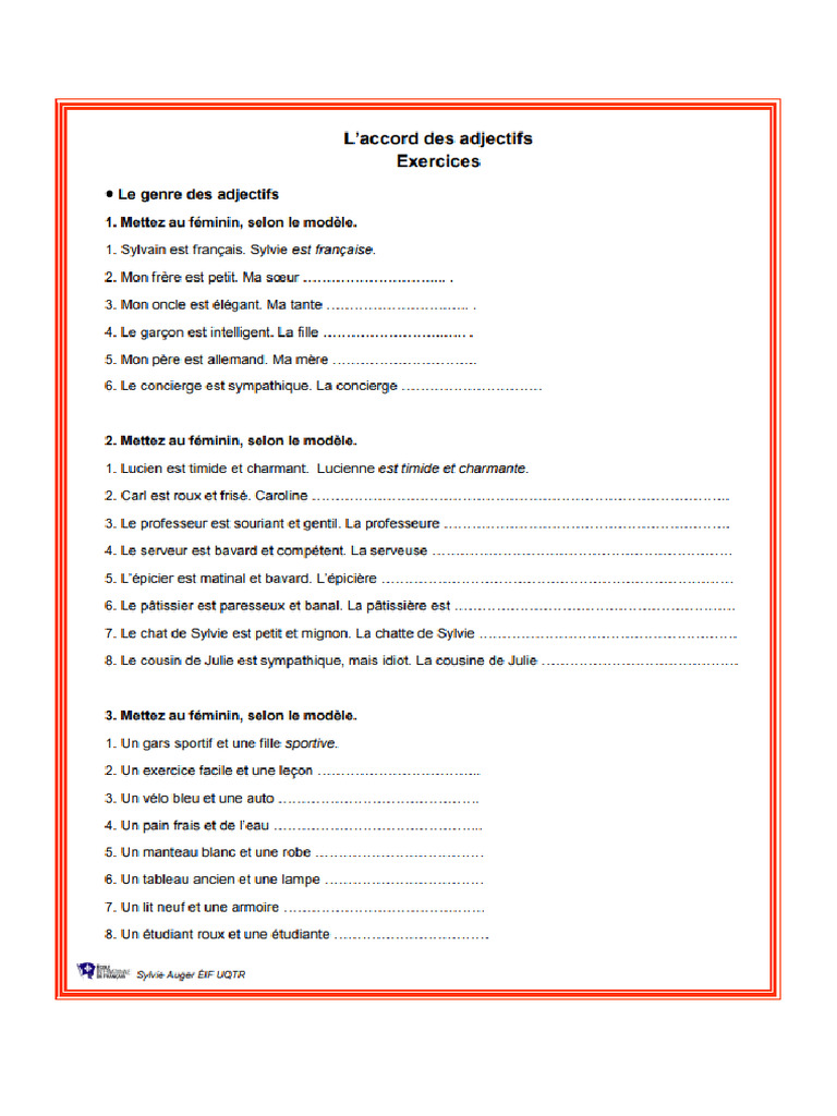 L'accord Des Adjectifs Exercices | PDF