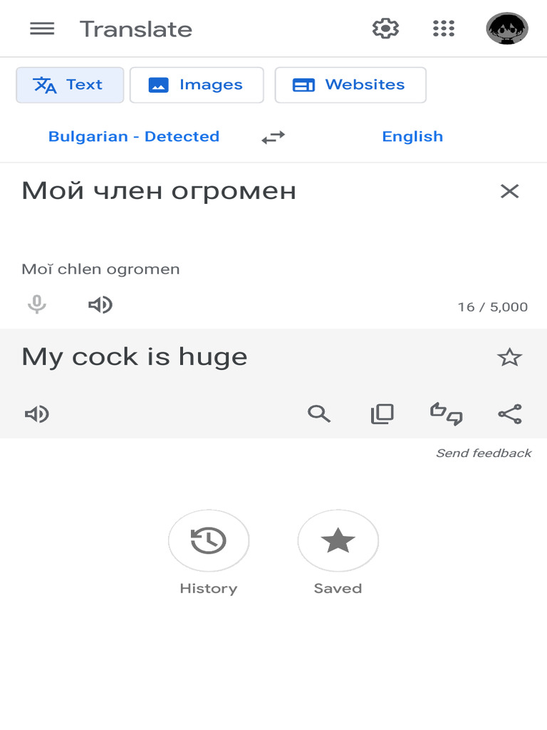 Google Translate | PDF