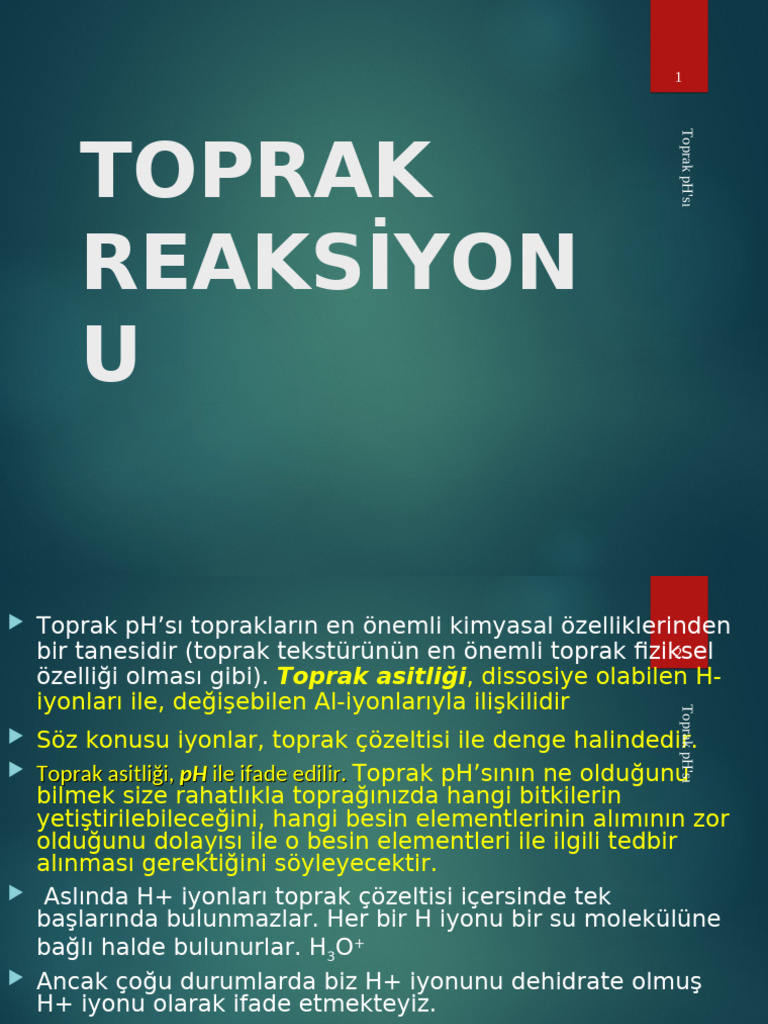 Ders Toprak Reaksiyonu | PDF
