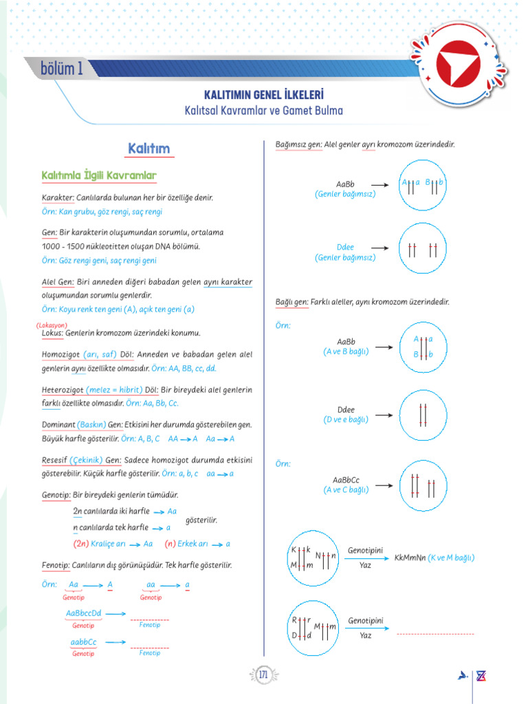 10.sinif-biyoloji-1.donem-2.yazili-genel-tekrar | PDF