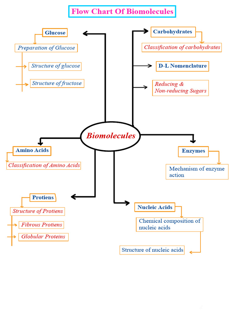 Overview of Biomolecules and Their Structures | PDF