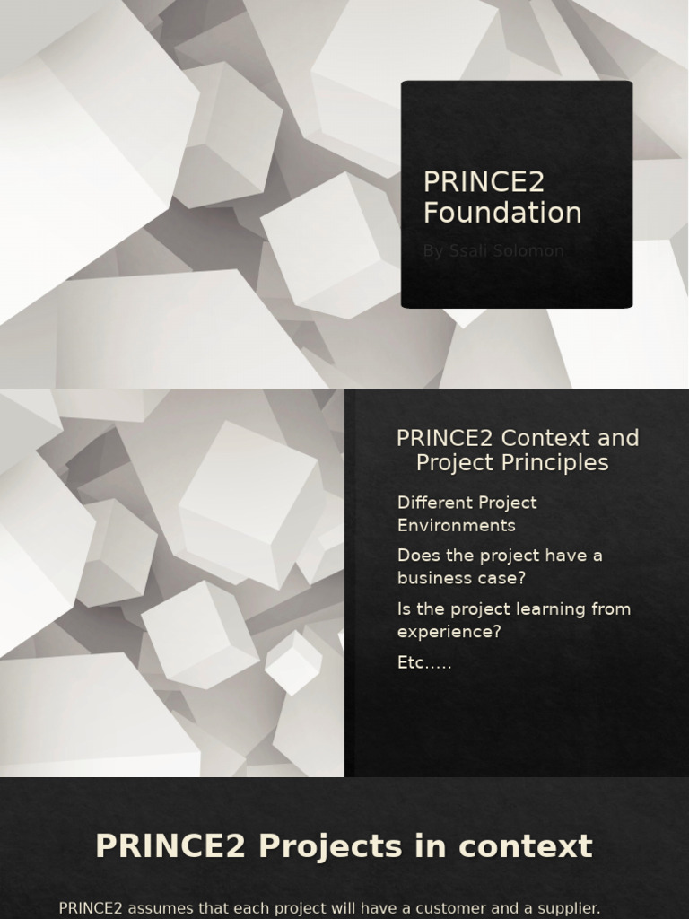 PRINCE2 Project Management Guide | PDF | Return On Investment | Risk