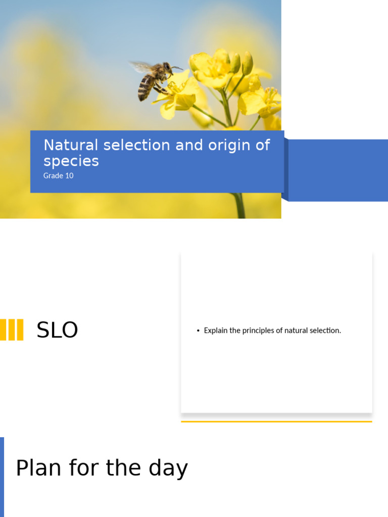 2 Principles of Natural Selection | PDF | Natural Selection | Genetic Diversity