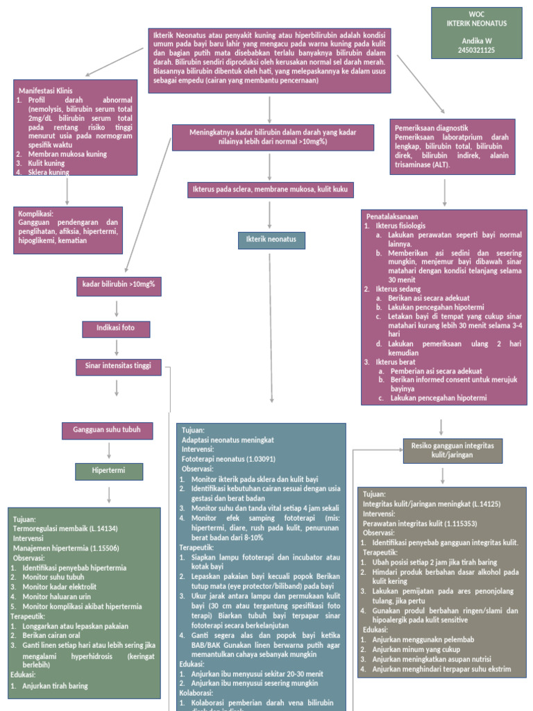 WOC - Andika - Ikterik Neonatus | PDF