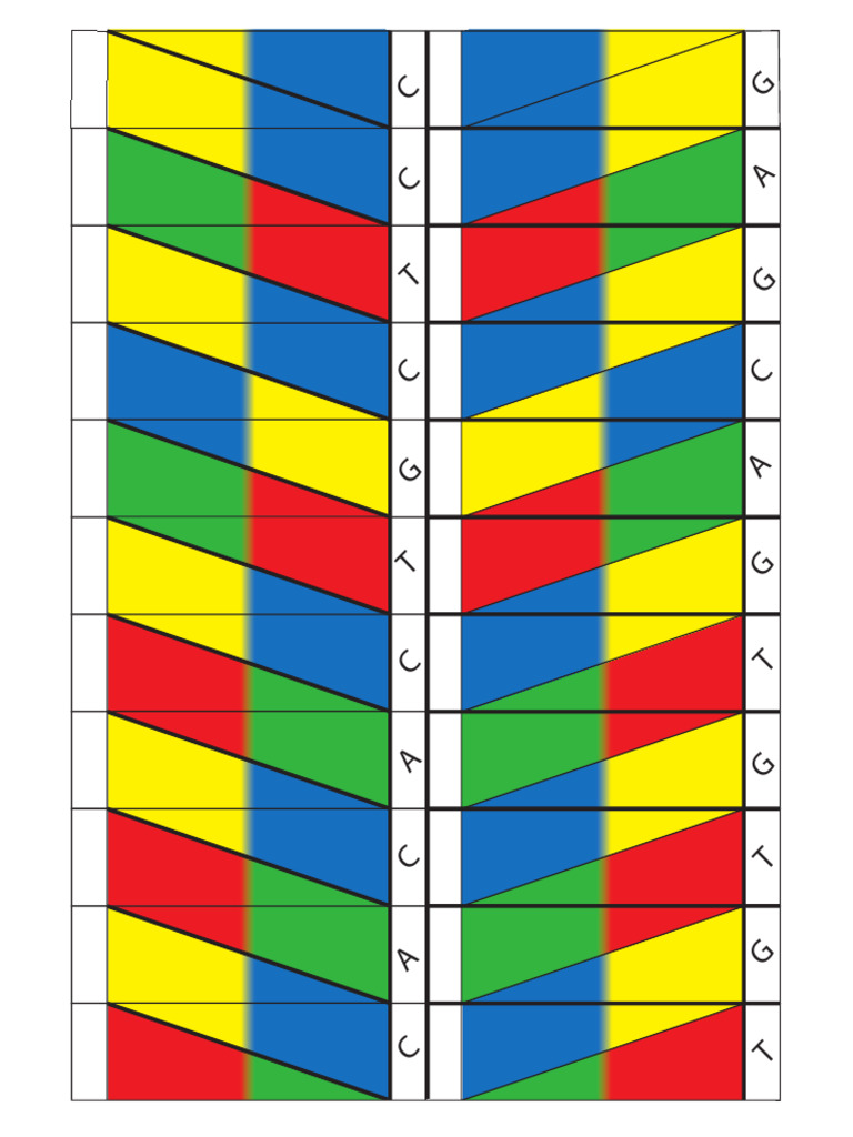 DNA To Print | PDF