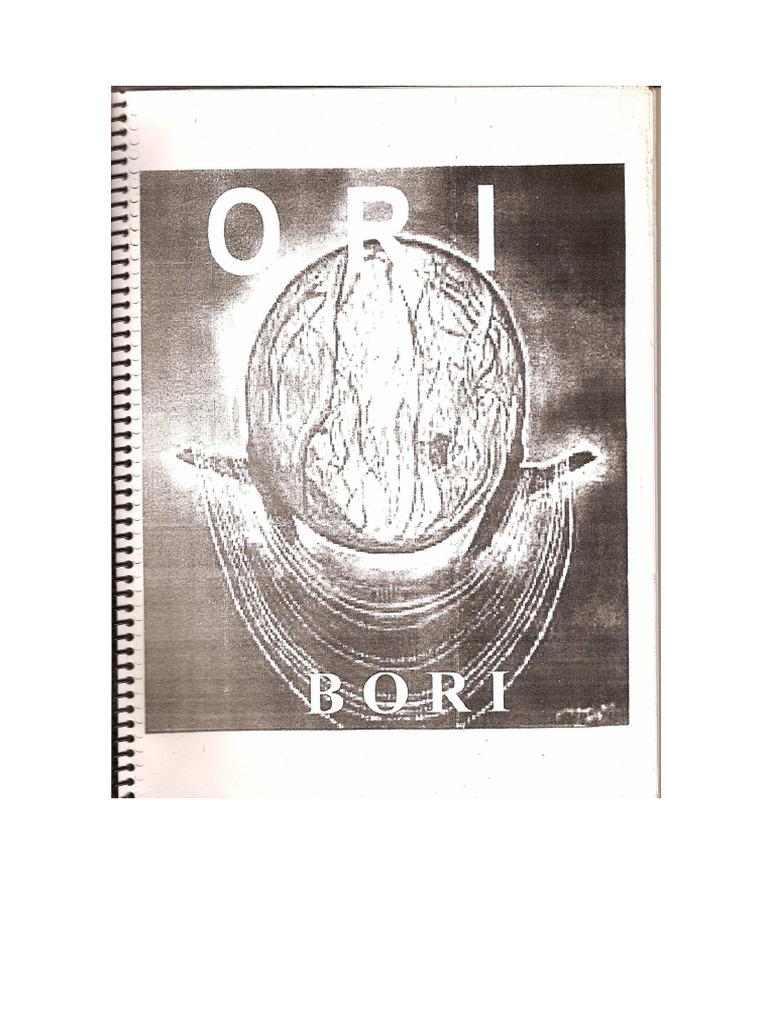 Candomble Ori e Bori | PDF | Software | Information Technology