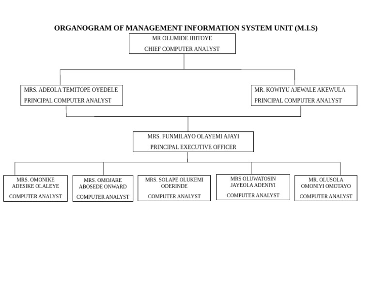 Organogram of Mis | PDF