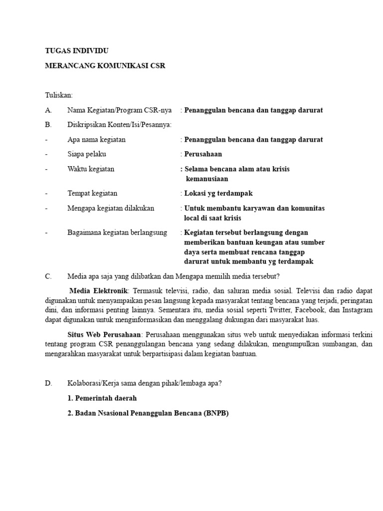 Tugas Individu CSR | PDF
