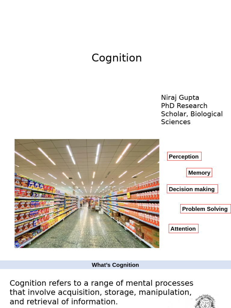 Class on cognition | PDF | Memory | Recall (Memory)
