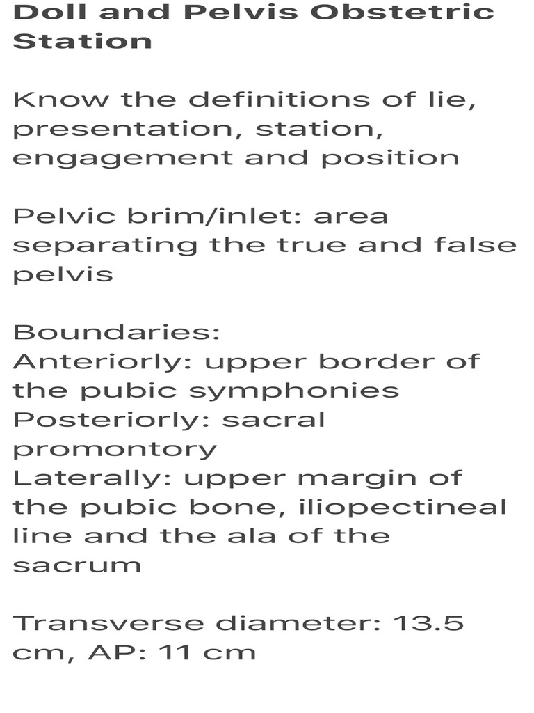 Doll and Pelvis Obstetric Station | PDF