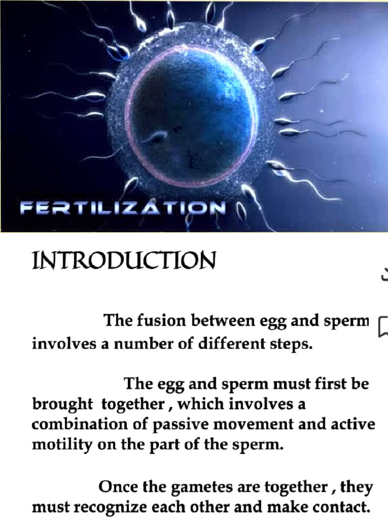 Fertilization | PDF | Fertilisation | Biological Interactions