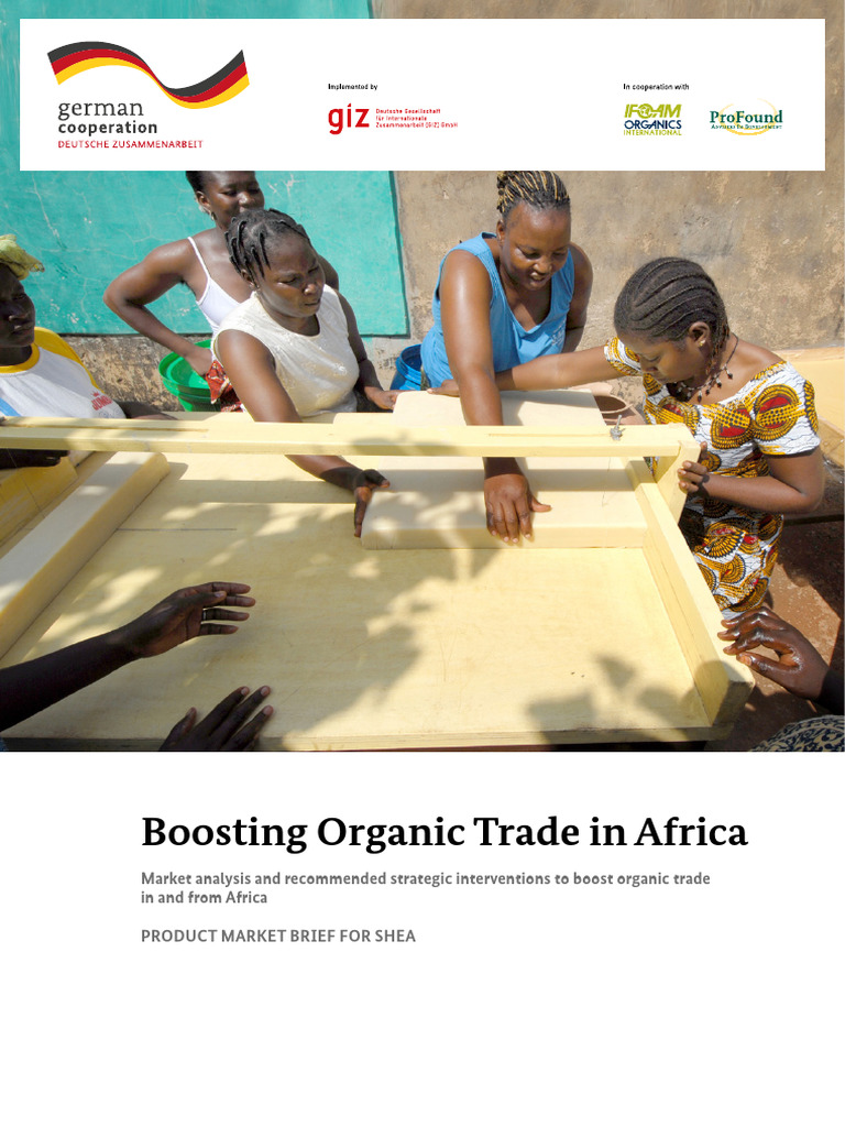 Organic Shea Trade Opportunities in Africa | PDF | Cocoa Bean