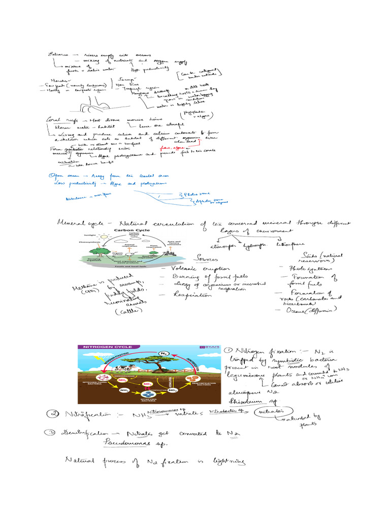 Krishiv 22-11-2024 Class 2 | PDF