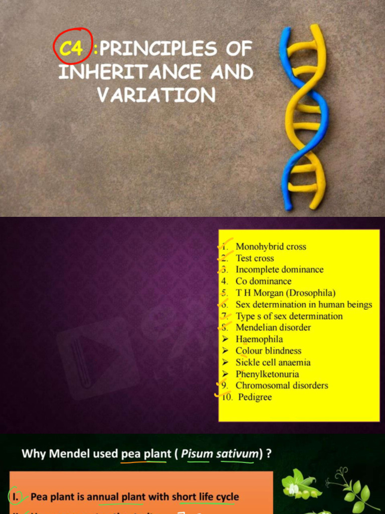+2 BIOLOGY - Principles of Inheritance and Variation, Evolution Notes | PDF