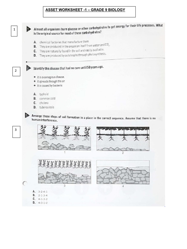 Asset Worksheet - 1 (Grade 9 Biology) | PDF