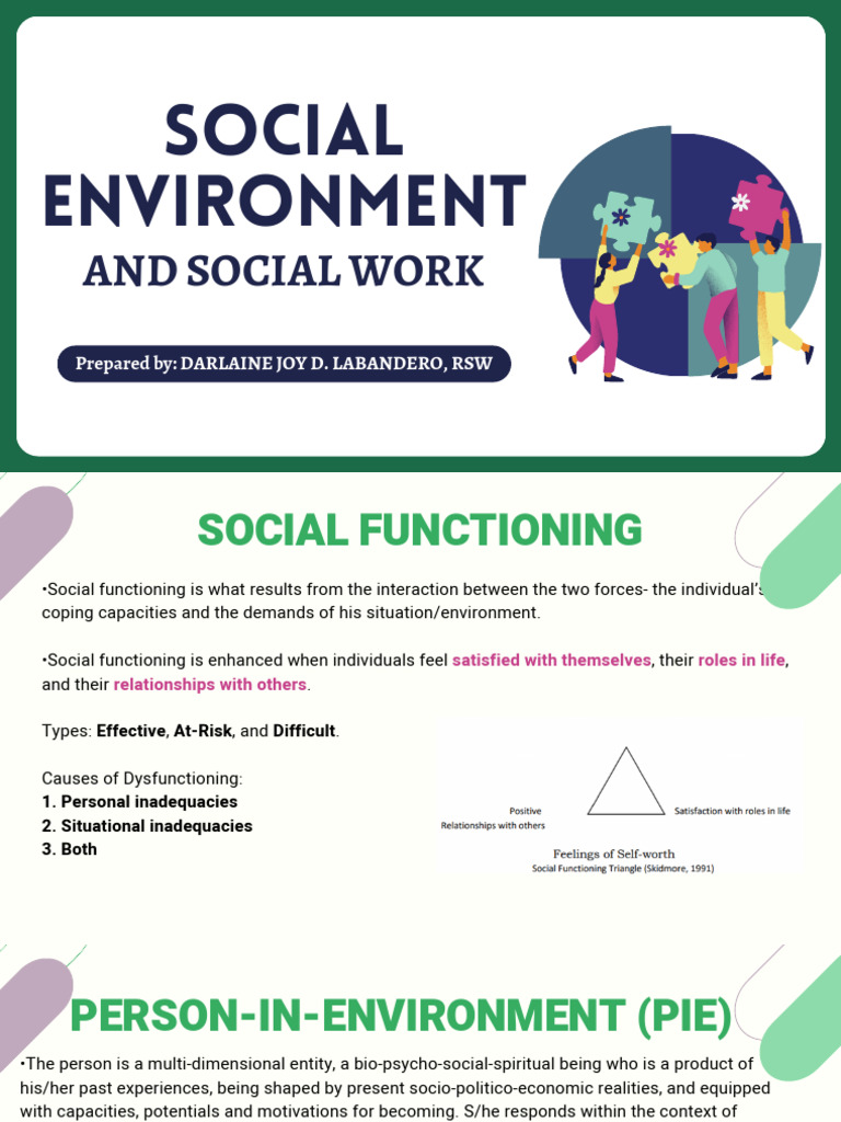 Social Environment Presmat | PDF | Family | Conformity
