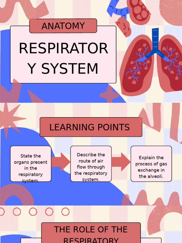 Respiratory System Biology Presentation in a Blue Pink Bold Style | PDF
