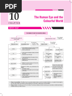 Grade 12 Life Science The Eye | PDF | Eye | Myopia
