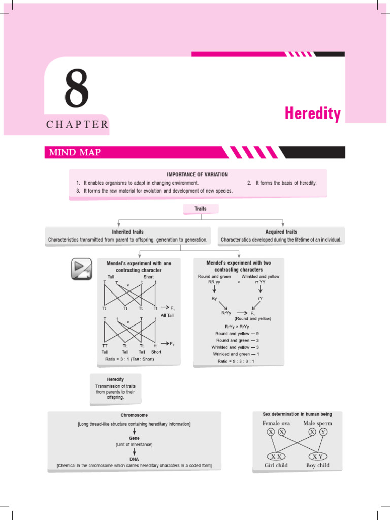 heredity | PDF | Dominance (Genetics) | Heredity