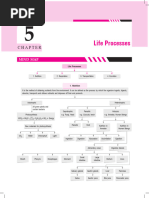 Human Digestive System - Diagram, Full Process (with Flow chart) | PDF ...