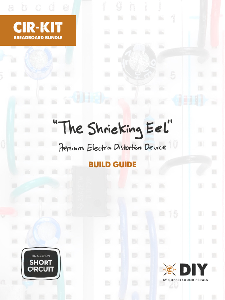 Shrieking Eel Breadboard Guide 2025 | PDF | Amplifier | Operational ...
