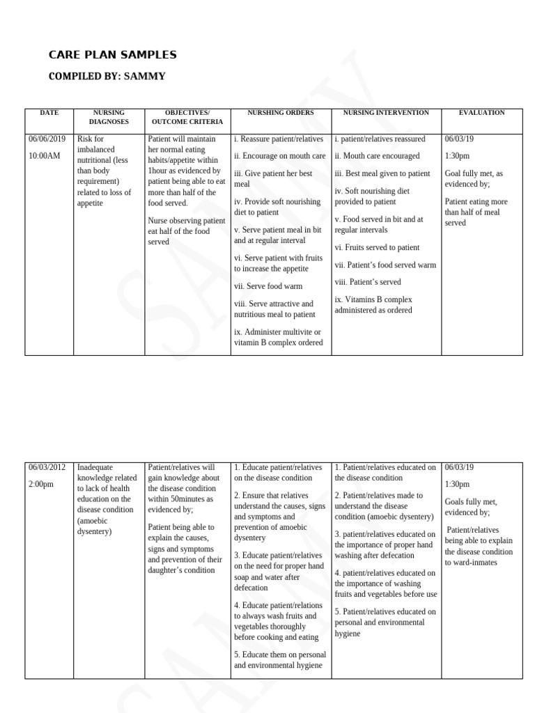 Care Plan Sample | PDF | Nursing | Wound