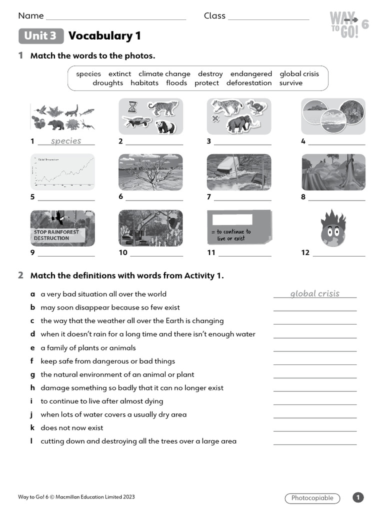 Vocabulary on Environmental Issues | PDF