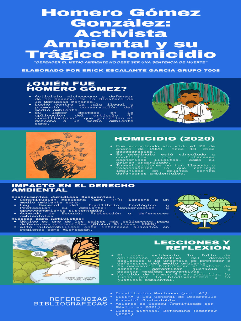 Infografia Homero Gomez | PDF