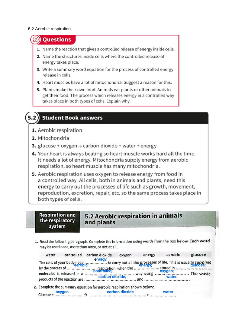 Aerobic Respiration in Cells Explained | PDF