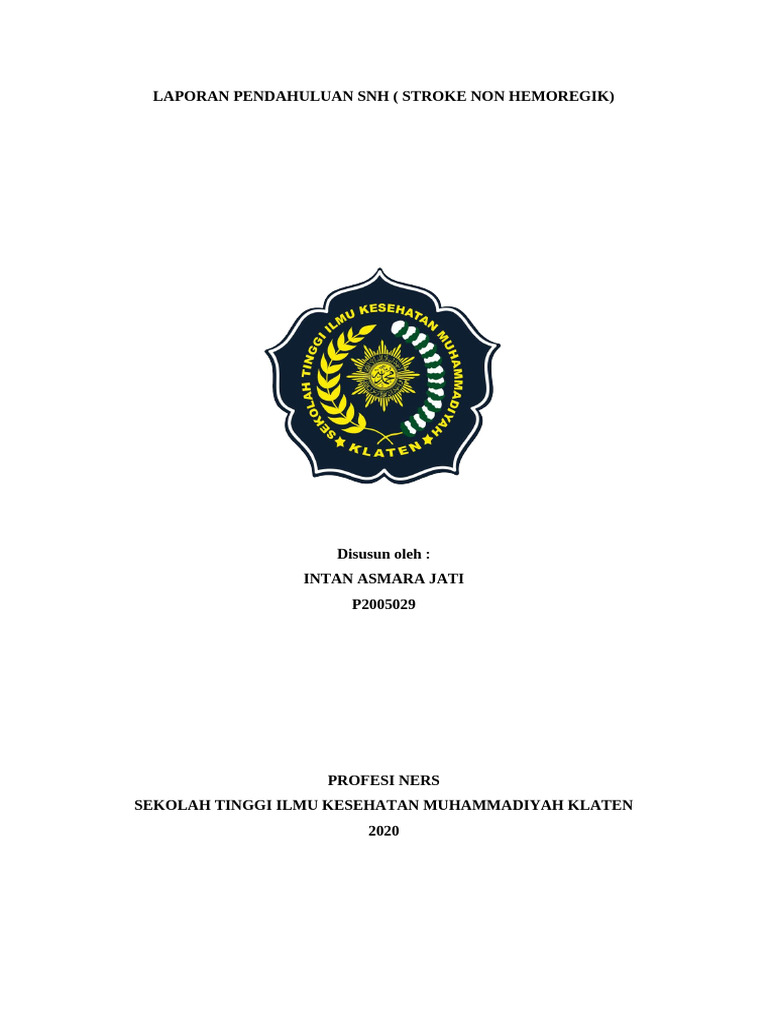 LP SNH - Intanaj - P2005029 | PDF