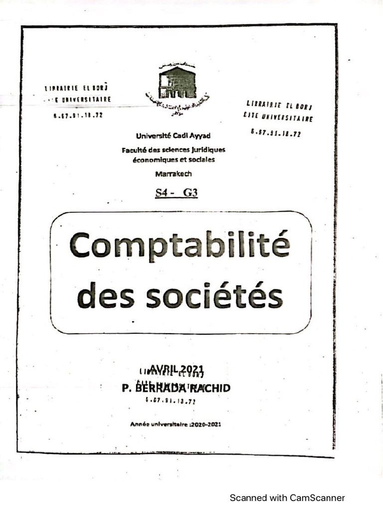 Comptabilité Des Sociétés | PDF