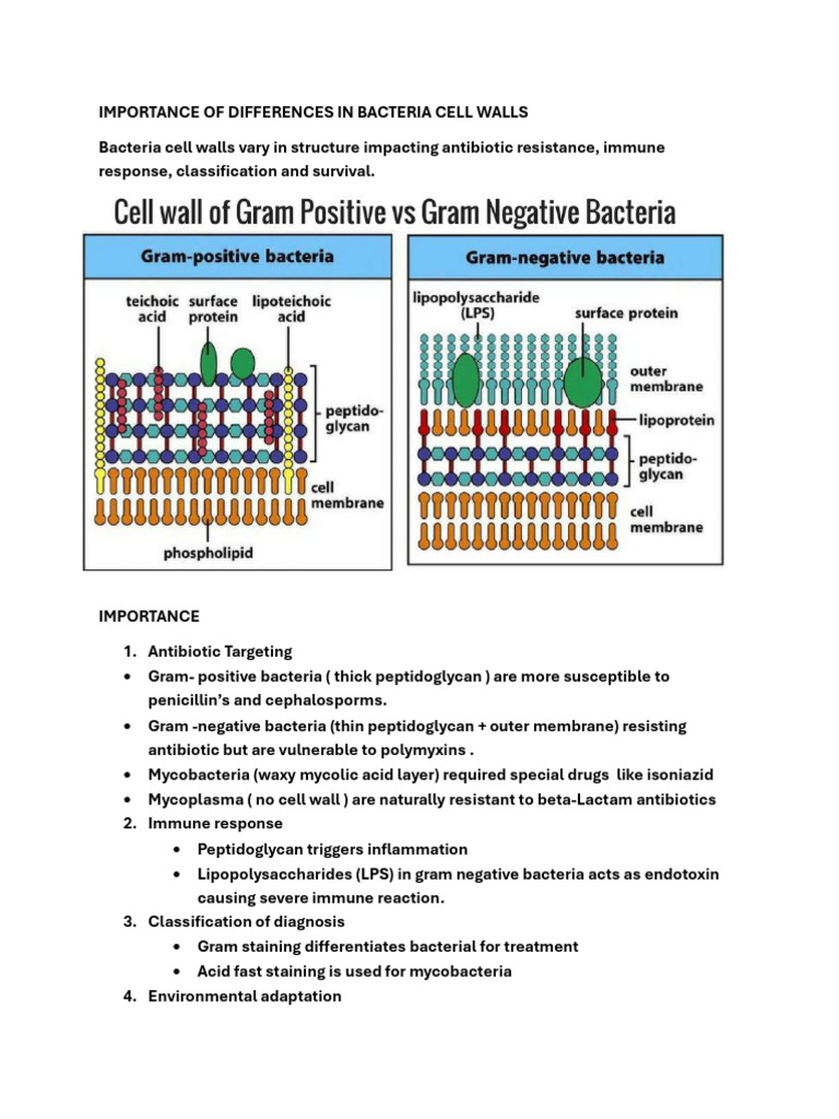Akiola Mathematics | PDF