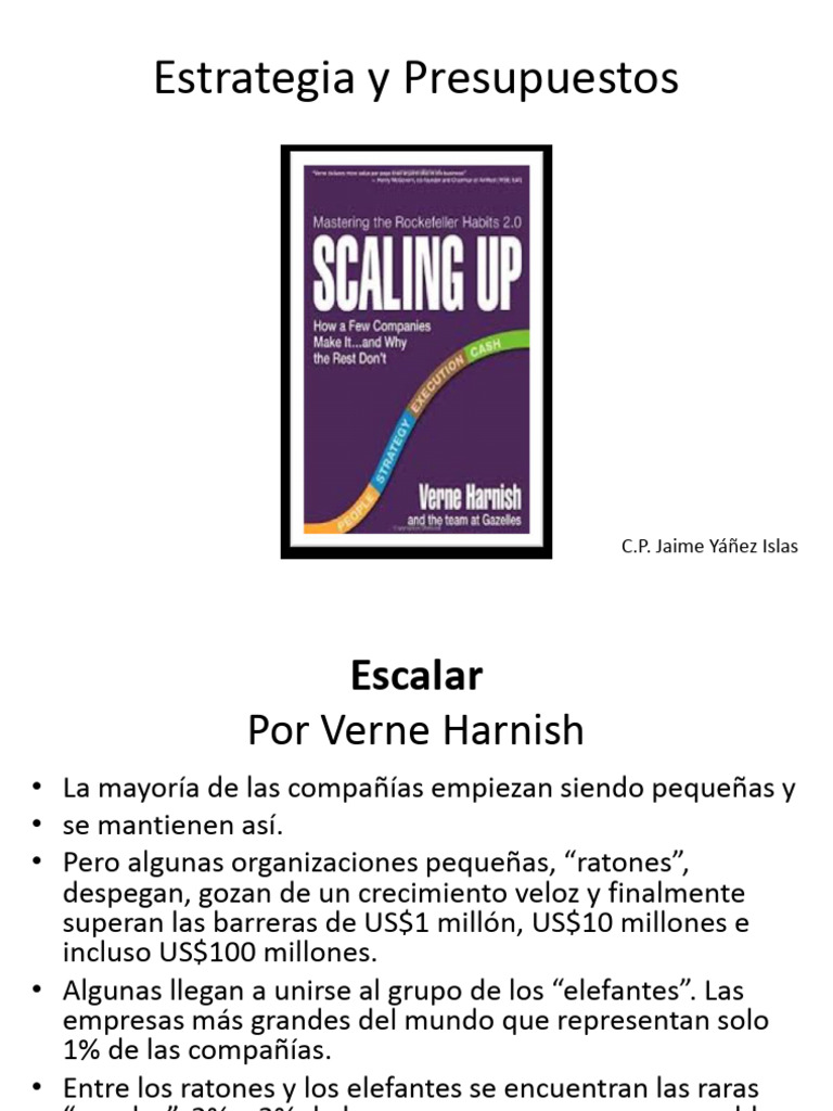 Scaling Up | PDF | Economias