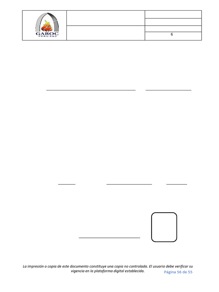 Cargo de Entrega RISST | PDF