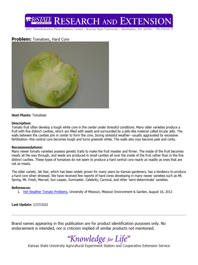 Tomato Hard Core Issues Explained | PDF