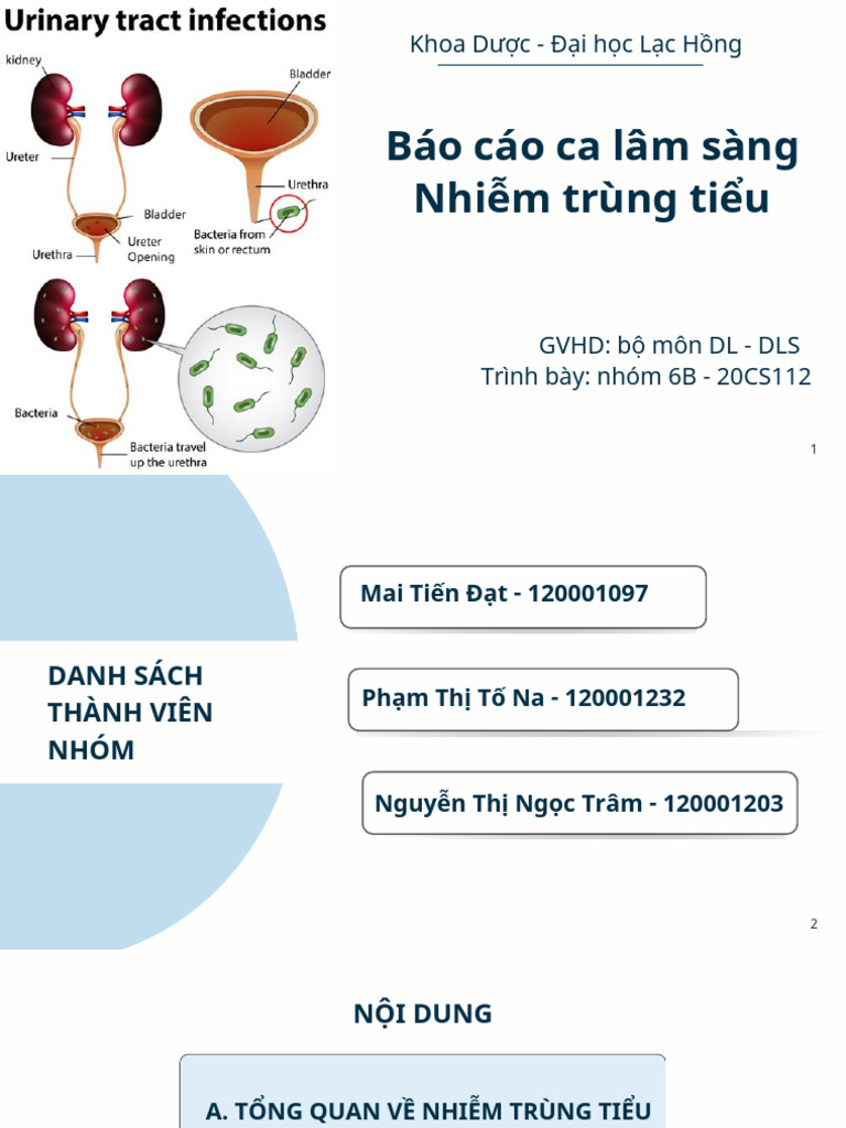 Sdt Utis Nhom6b 20cs112 | PDF