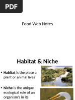 Daintree Rainforest Food Web Overview | PDF